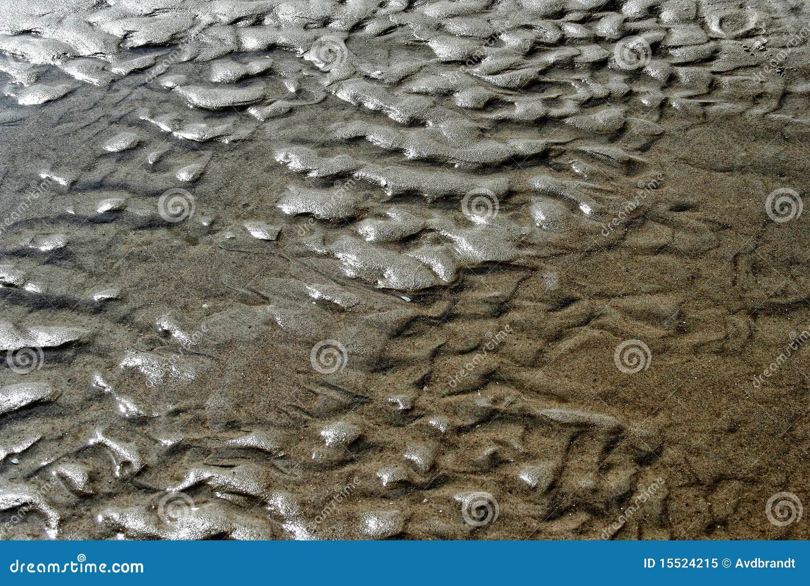 Sea shore texture stock image. Image of copy, shapes - 15524215