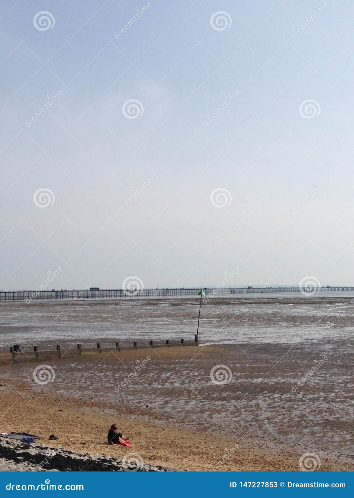 Sea side view stock image. Image of taking, forest, summer - 147227853
