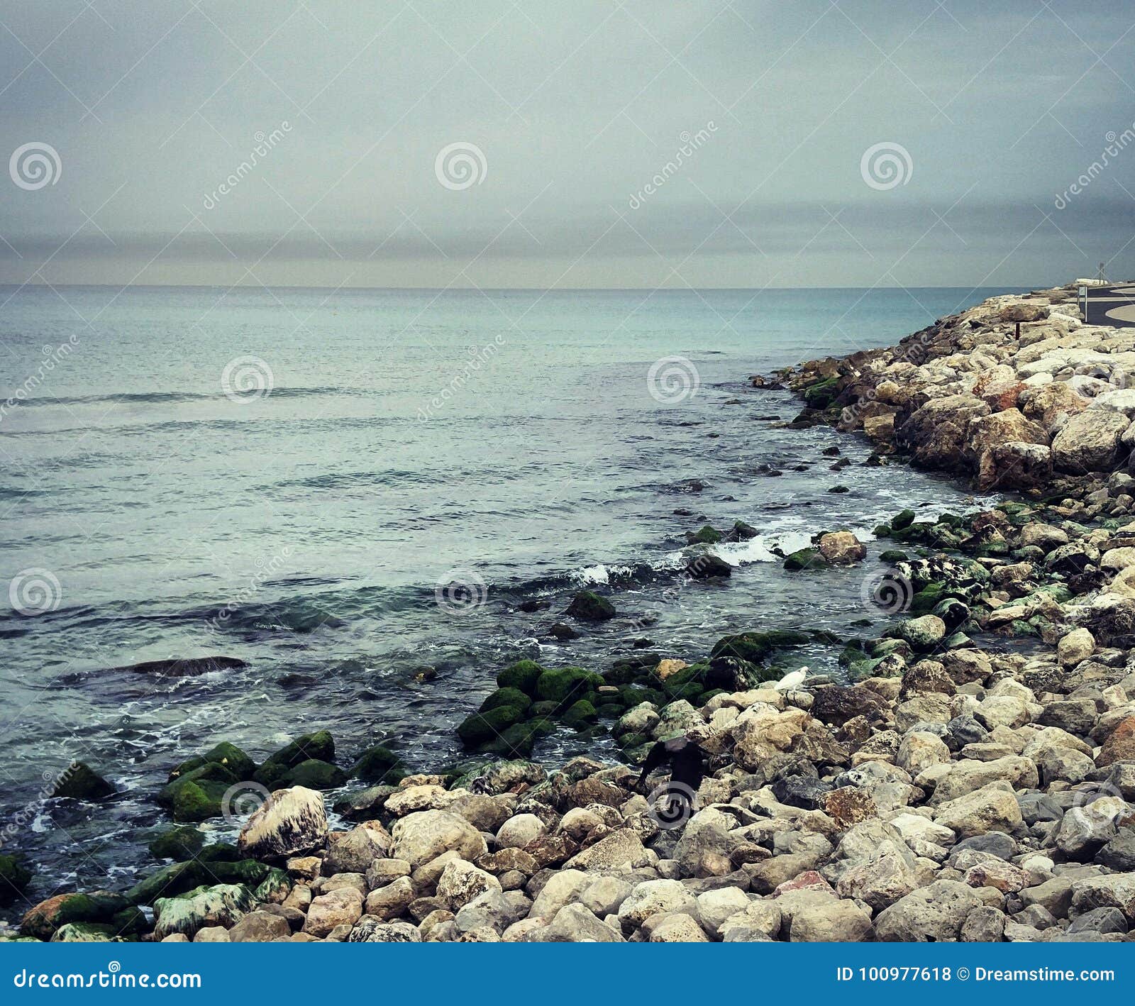 Sea side stock photo. Image of coasline, view, travel - 100977618