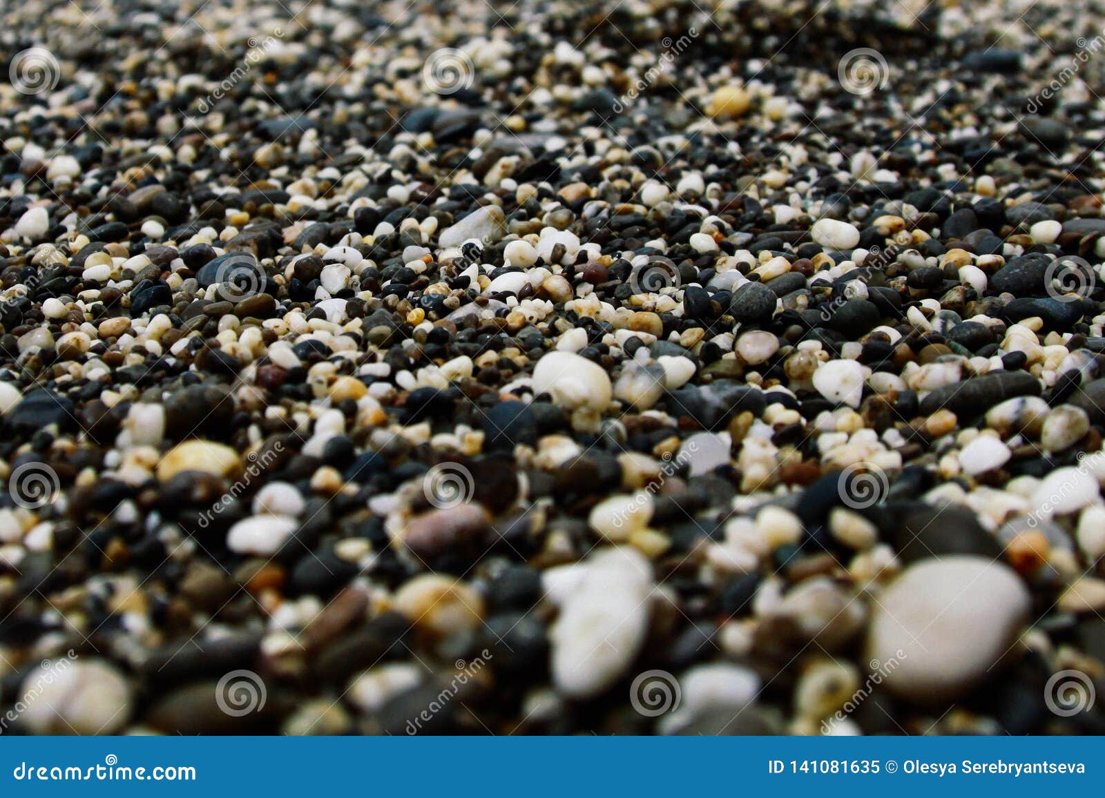 Sea Small Stones on the Seashore Stock Image - Image of garden, beach ...