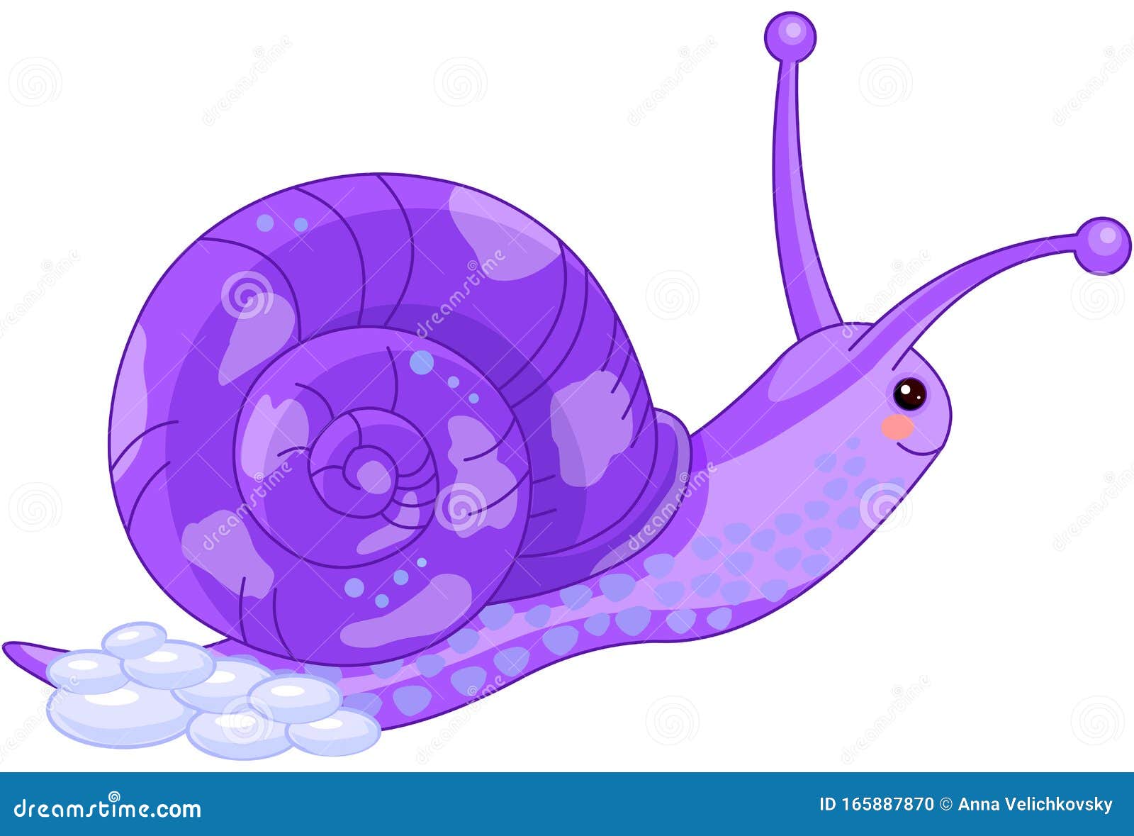 Sea Snail stock vector. Illustration of tropic, baby - 165887870
