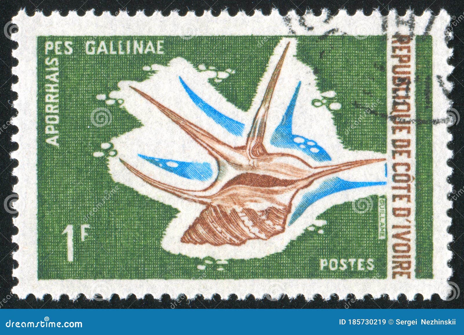 Sea snail editorial stock image. Image of animal, 1971 - 185730219