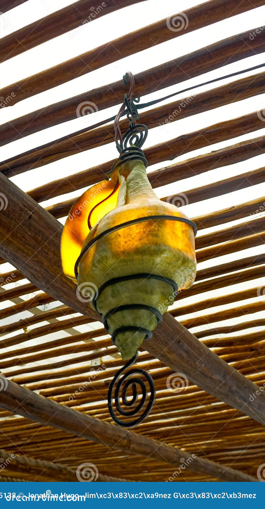 Sea snail shell lamp stock photo. Image of ceiling, bulb - 157935138