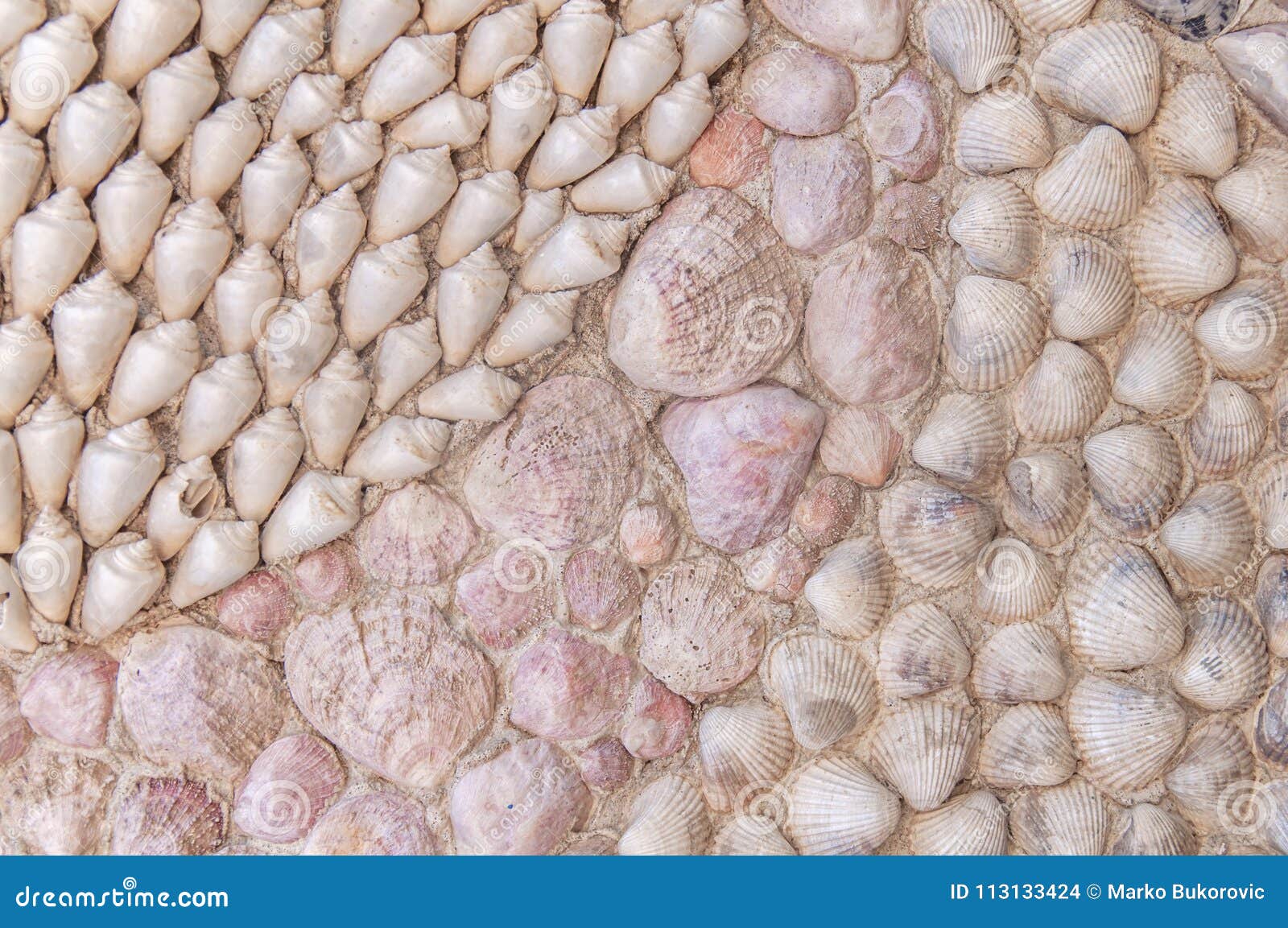 Sea Snail and Sea Shell Like Background Decoration in Cement House ...