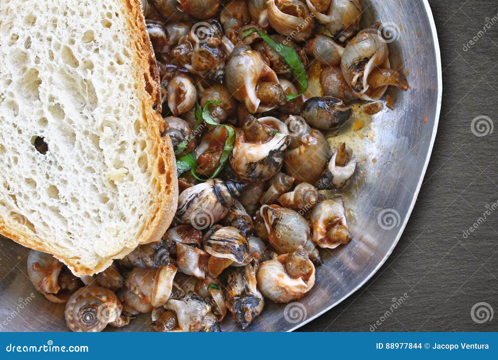 Sea Snails Cooking in a Pan Stock Photo - Image of freshness, closeup ...