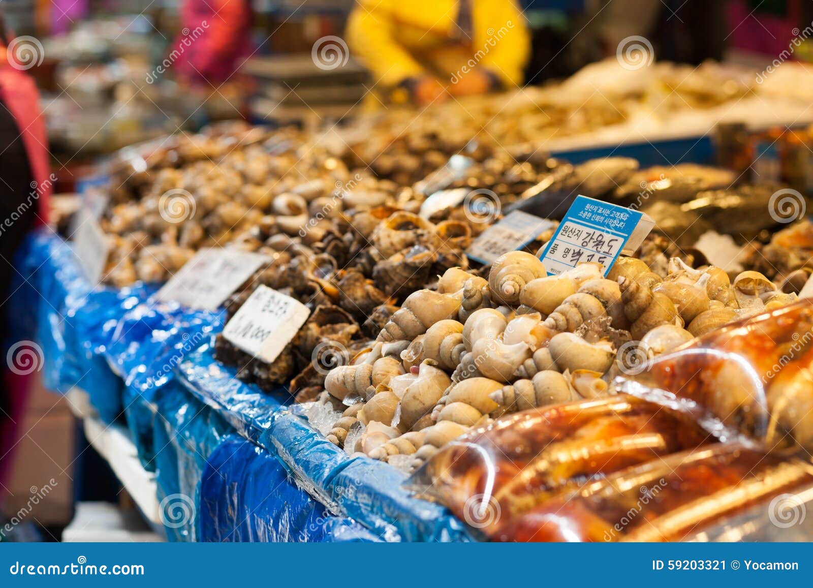 Sea Snails and Other Shells at Fish Market Editorial Photo - Image of ...