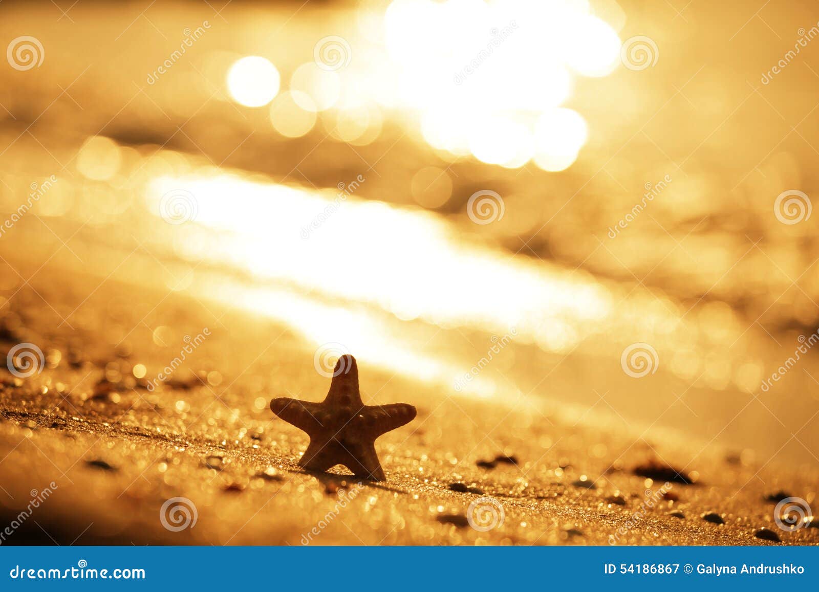 Sea spark stock image. Image of ocean, aquatic, beach - 54186867