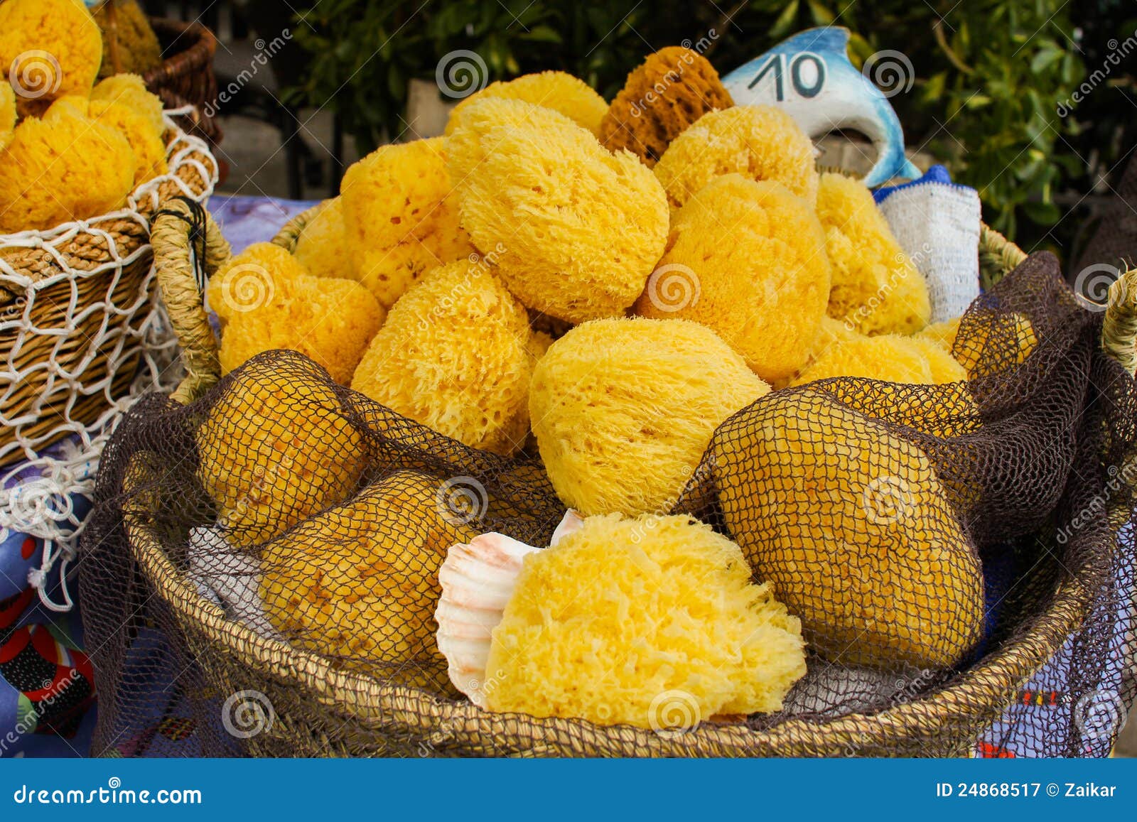 Sea sponge stock image. Image of natural, yellow, coral - 24868517