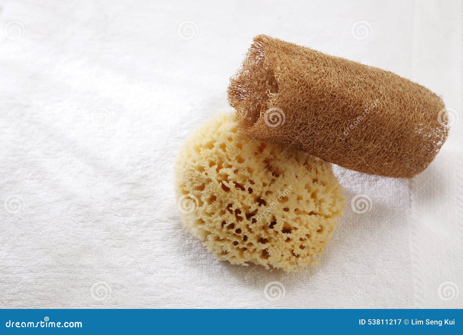 Sea sponge and lufa stock image. Image of accessory, wash - 53811217