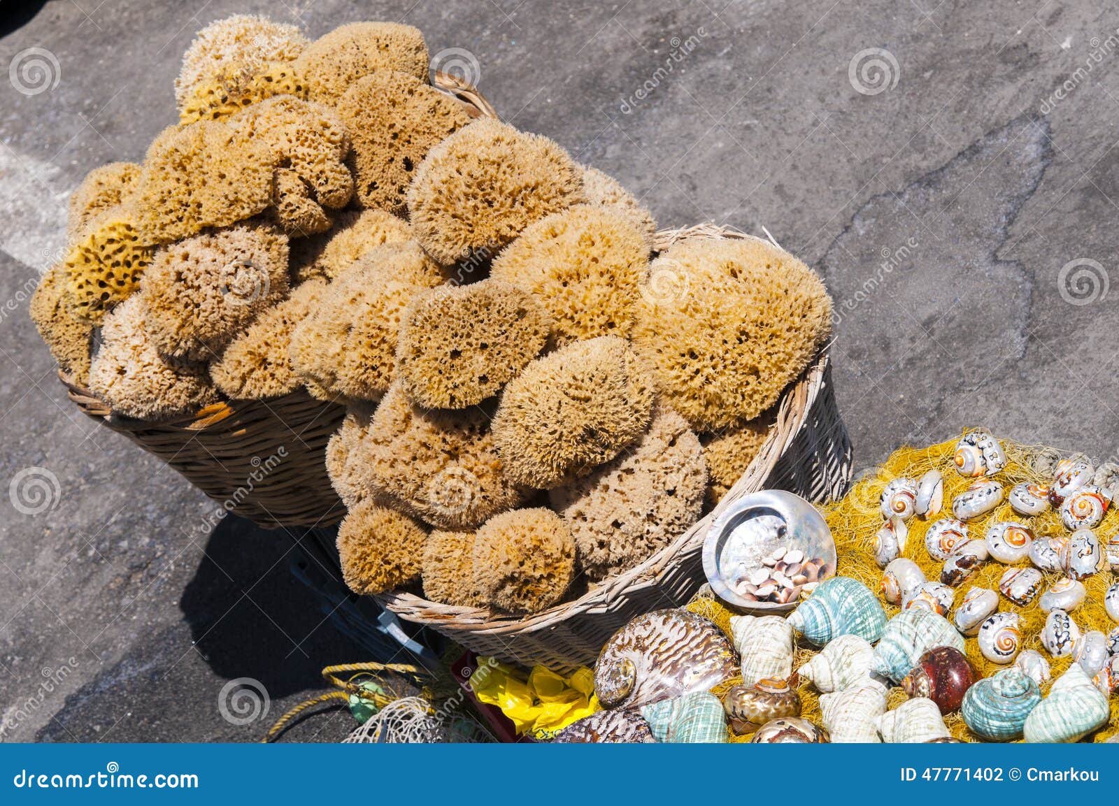 Sea sponges stock photo. Image of harbor, care, bathing - 47771402