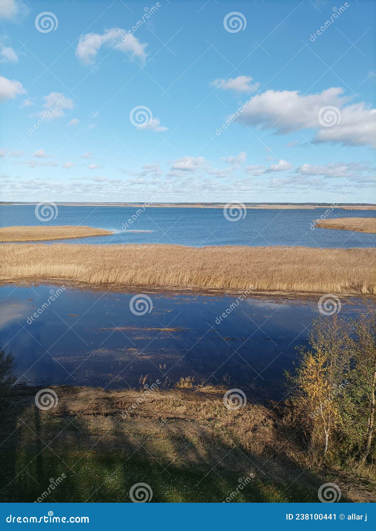 Sea in spring stock image. Image of outdoors, spring - 238100441
