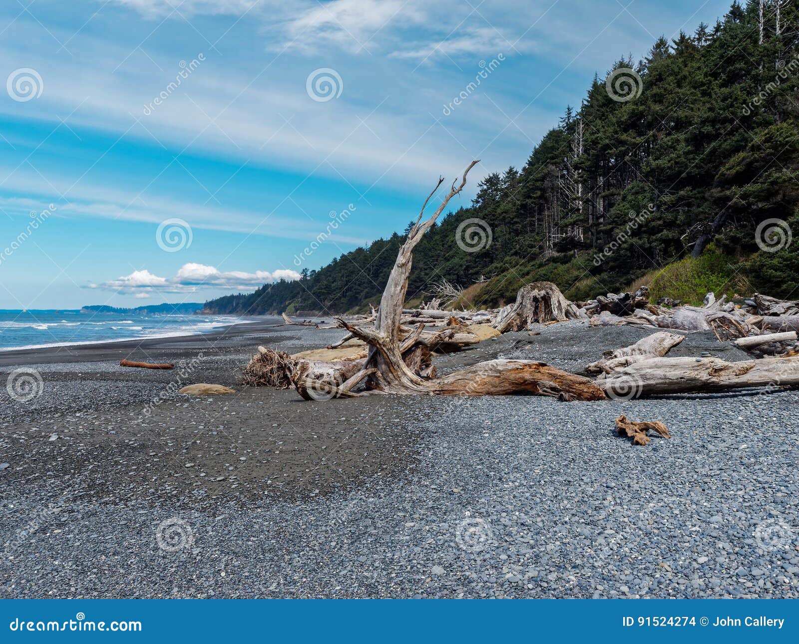 Sea Stack Low Tide stock photo. Image of washington, tide - 91524274