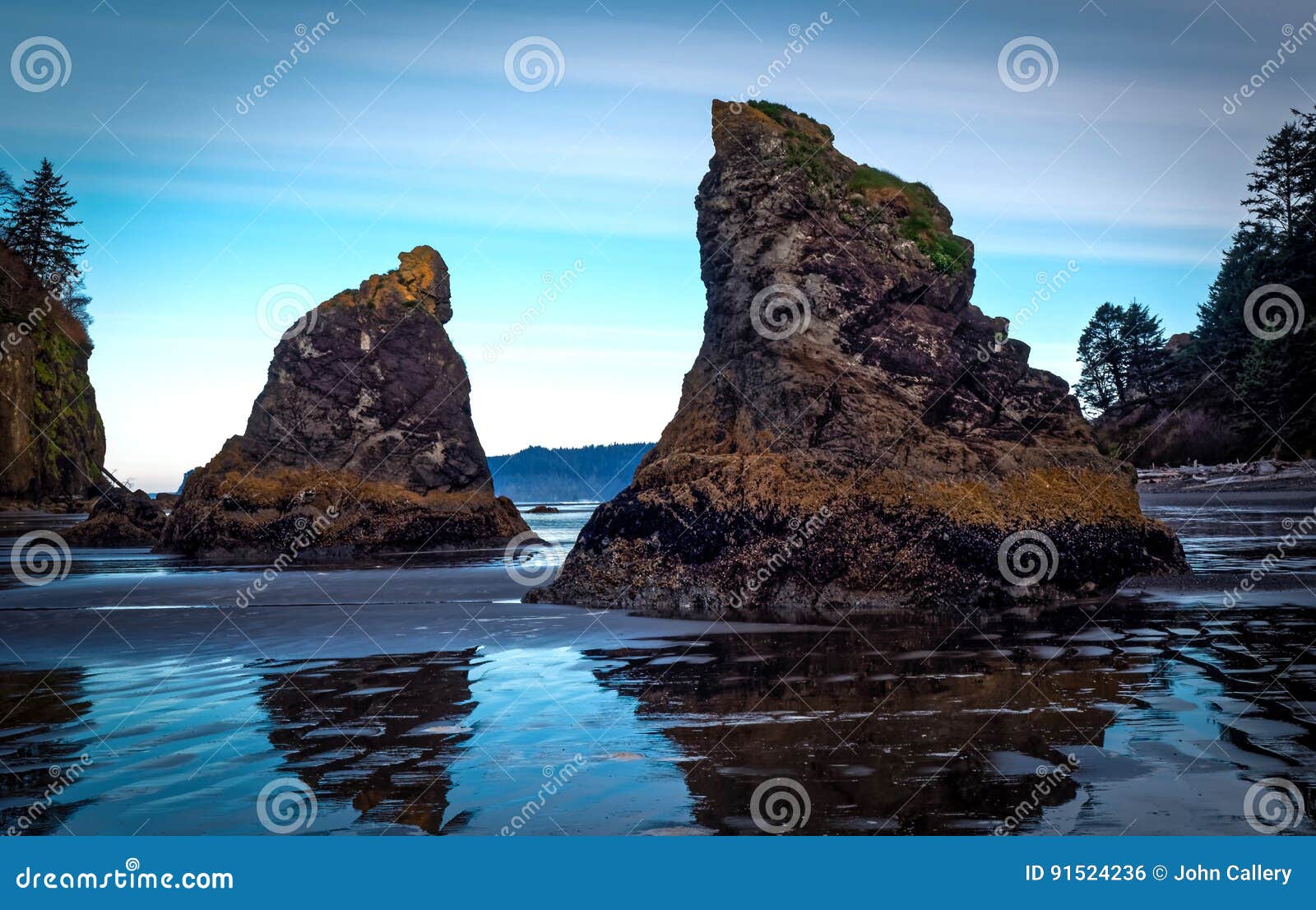 Sea Stack Low Tide stock photo. Image of rocks, evergreen - 91524236