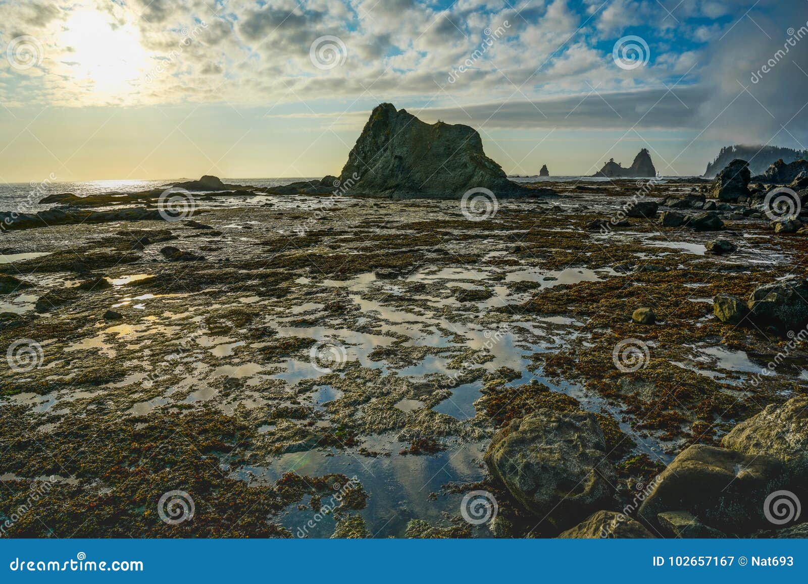 Sea Stack and Ocean with Sky Reflection Stock Image - Image of blue ...