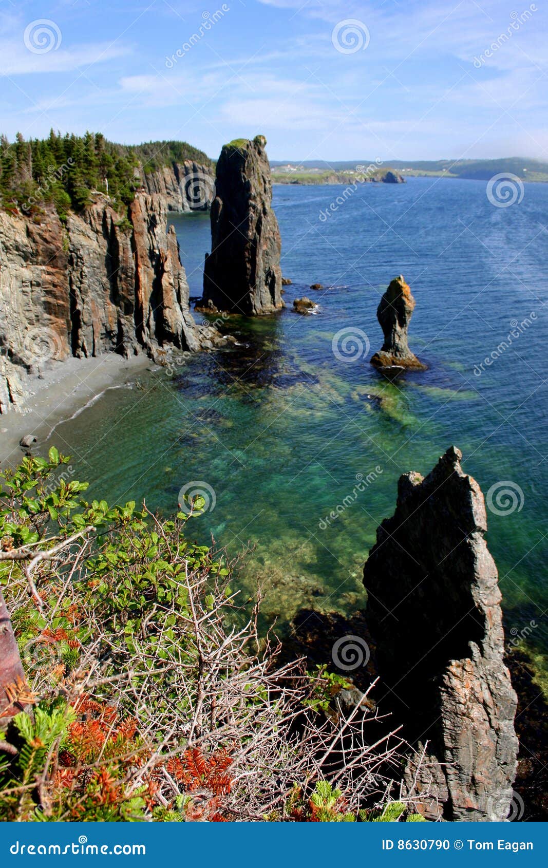 Sea Stacks stock photo. Image of rexton, stacks, rock - 8630790