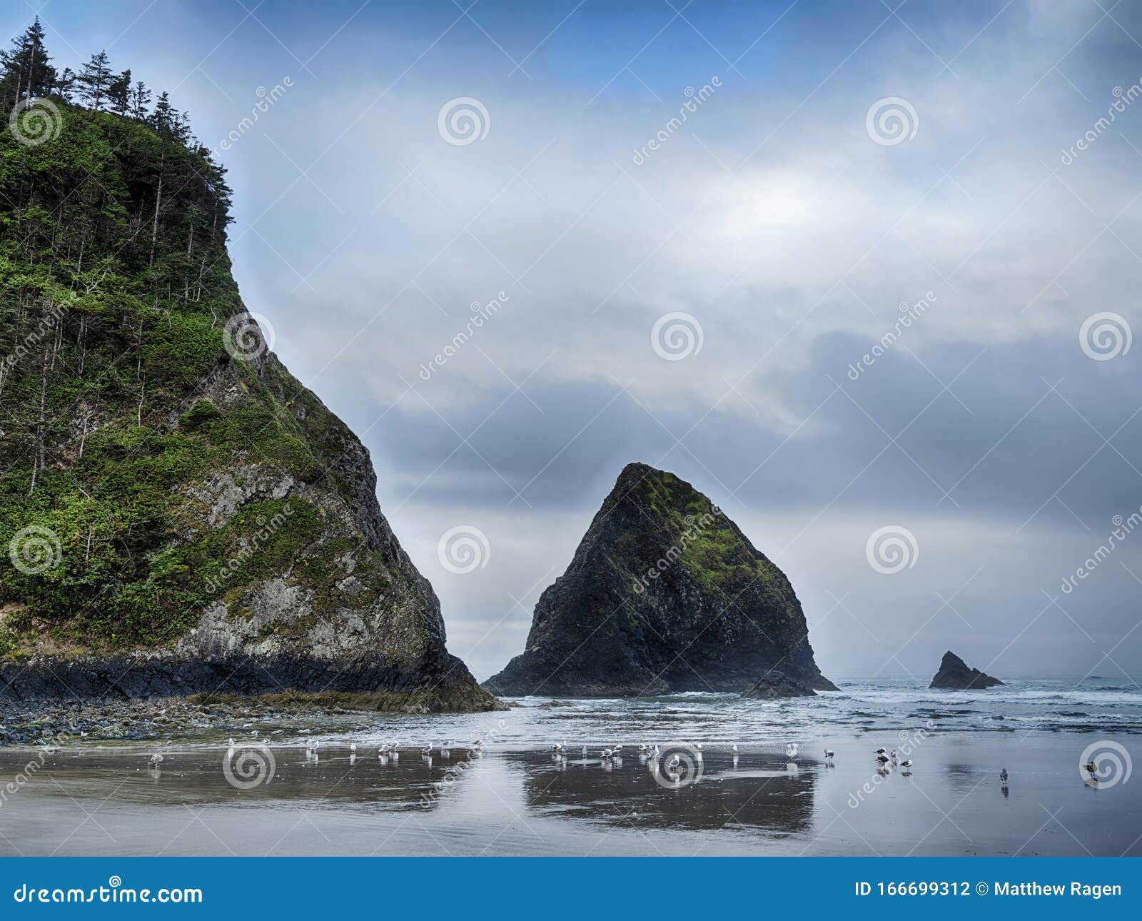 Sea Stacks on the Beach at Arch Cape Stock Photo - Image of clouds ...