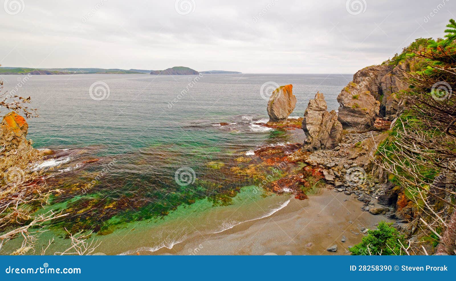 Sea Stacks on the Newfoundland Coast Stock Photo - Image of scenic ...