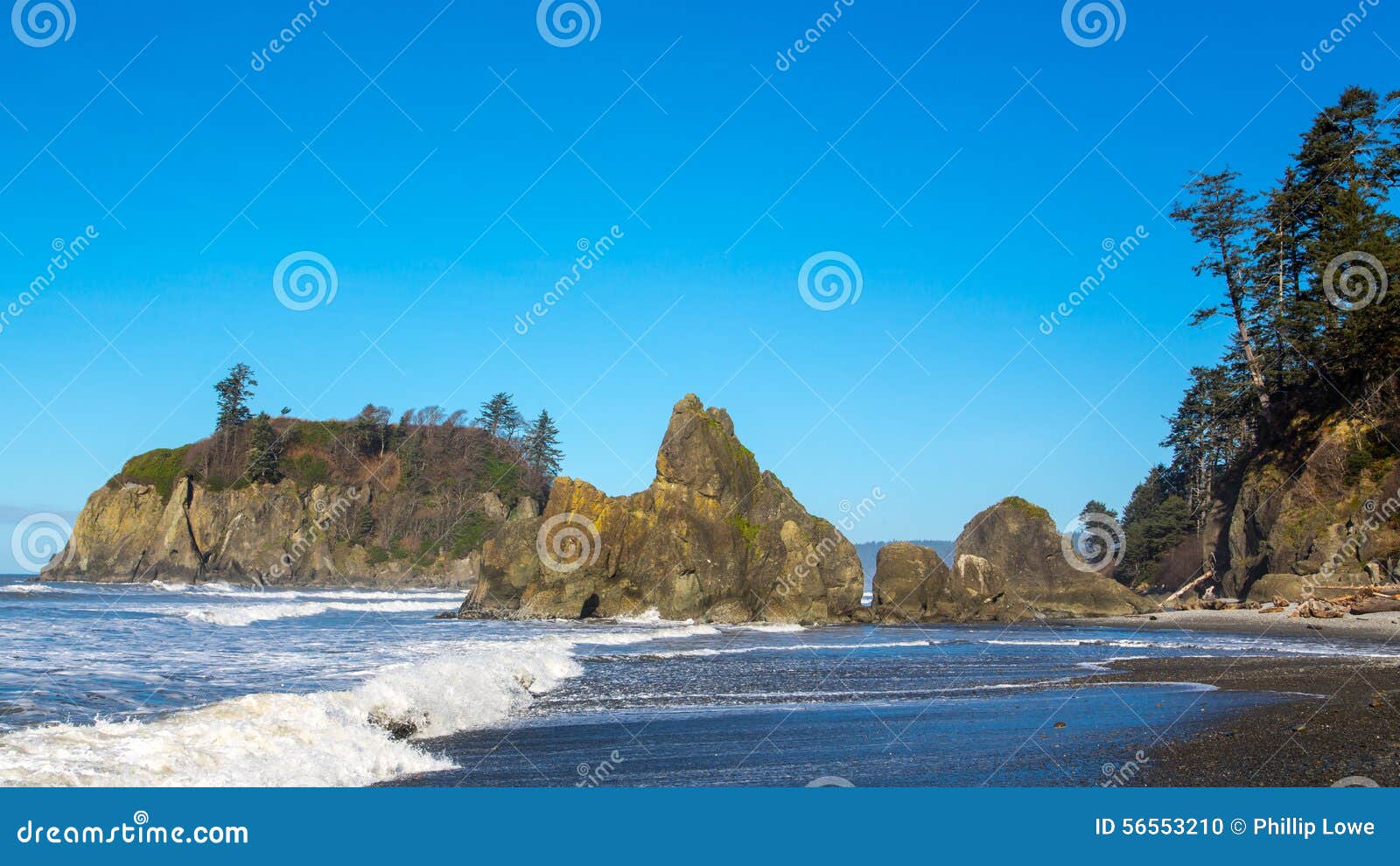 Sea stacks on Ruby Beach stock photo. Image of coast - 56553210