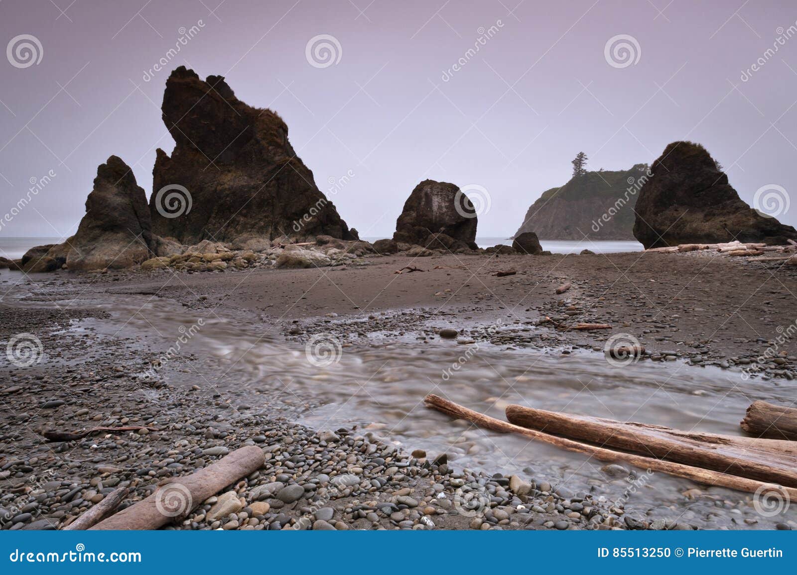 Sea stacks at Ruby beach stock photo. Image of ecosystem - 85513250