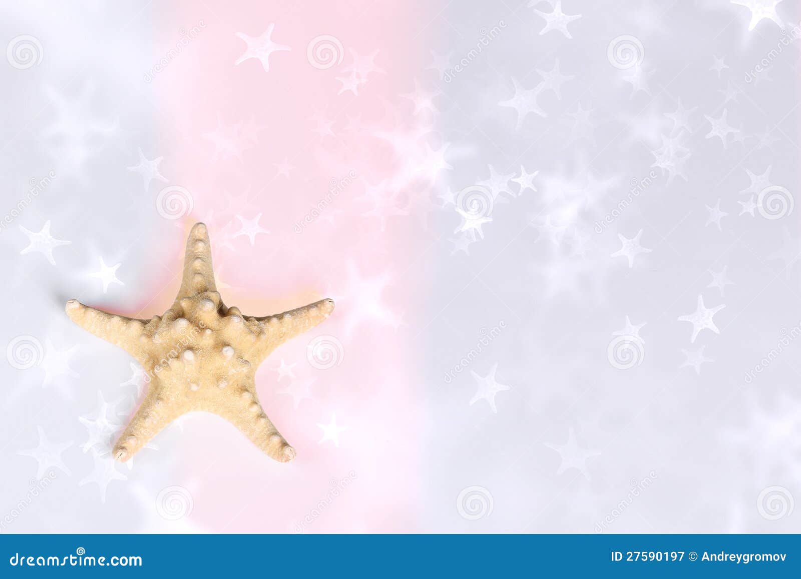 Sea star background stock image. Image of seastar, biology - 27590197