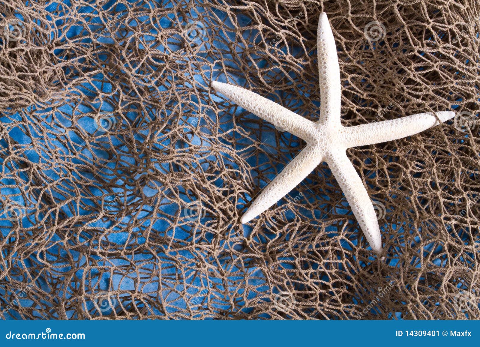 3,616 Fishing Star Stock Photos - Free & Royalty-Free Stock Photos from ...