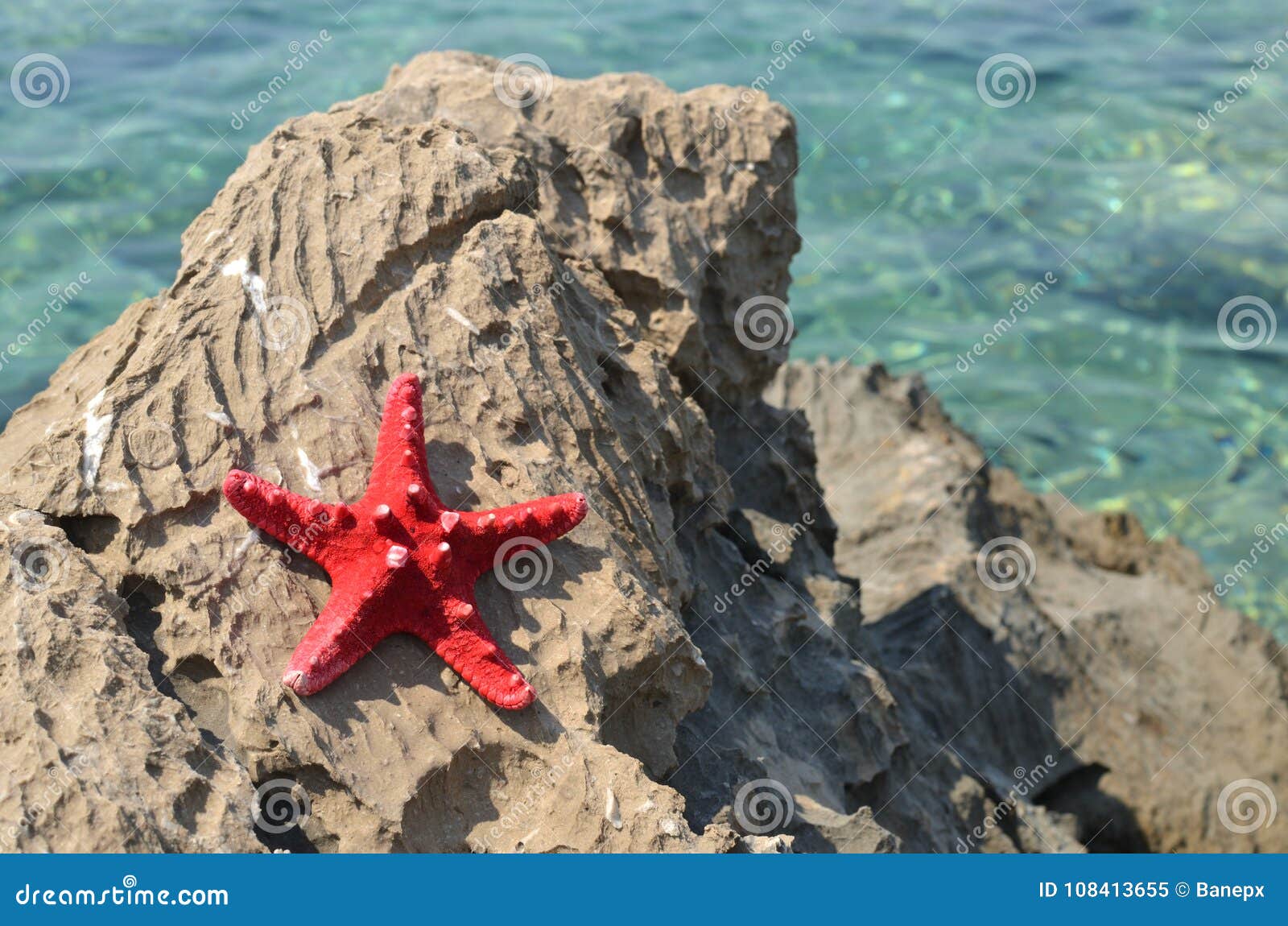 Sea star and a sea rock stock image. Image of island - 108413655
