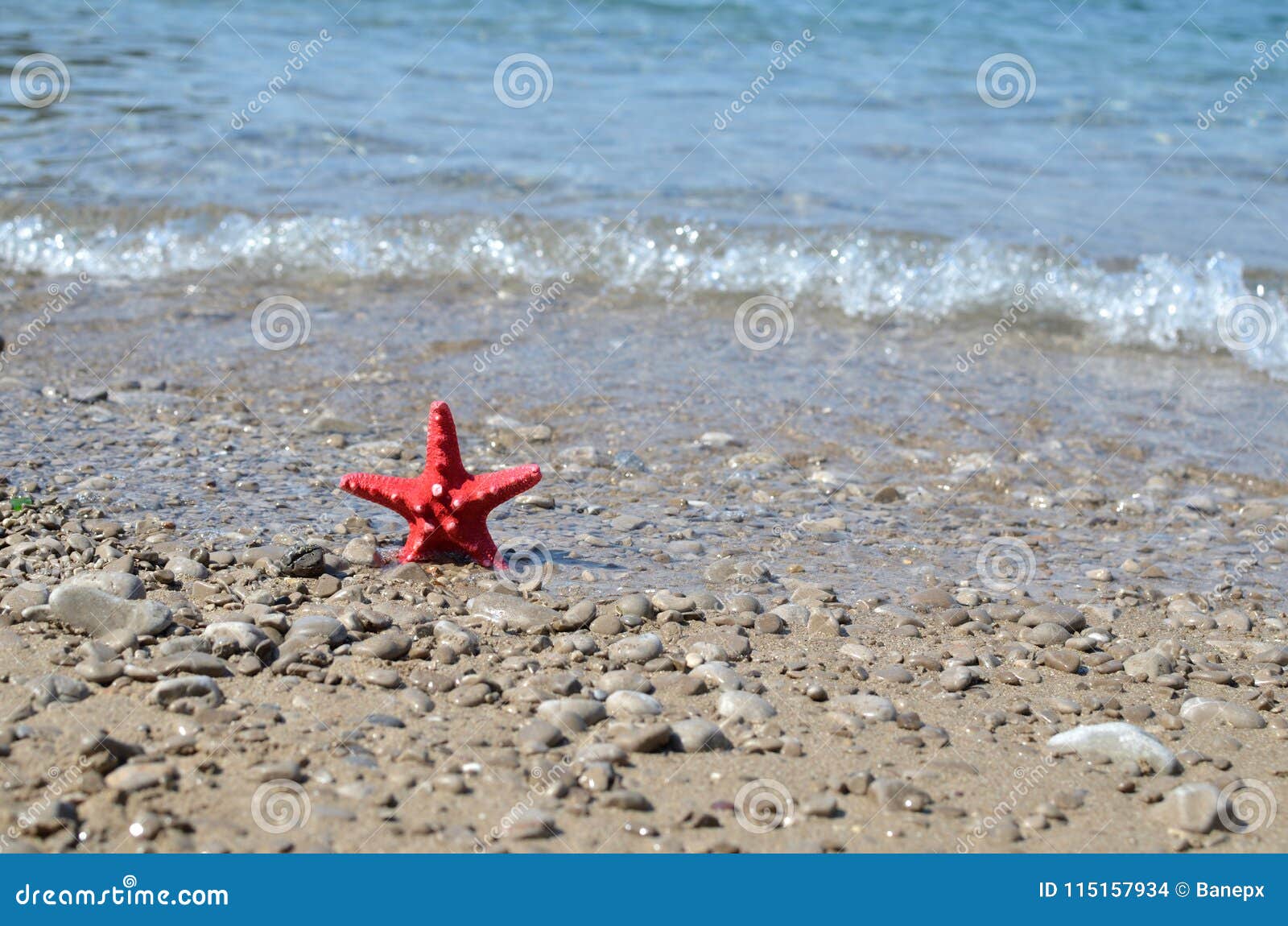 Sea star in a shallow stock photo. Image of travel, beach - 115157934