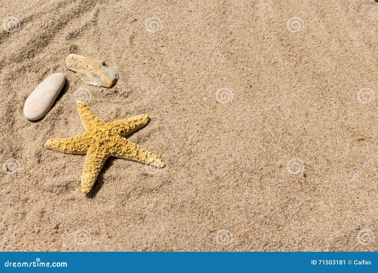 Sea Star and Shells on the Sand of the Sea Stock Image - Image of blue ...