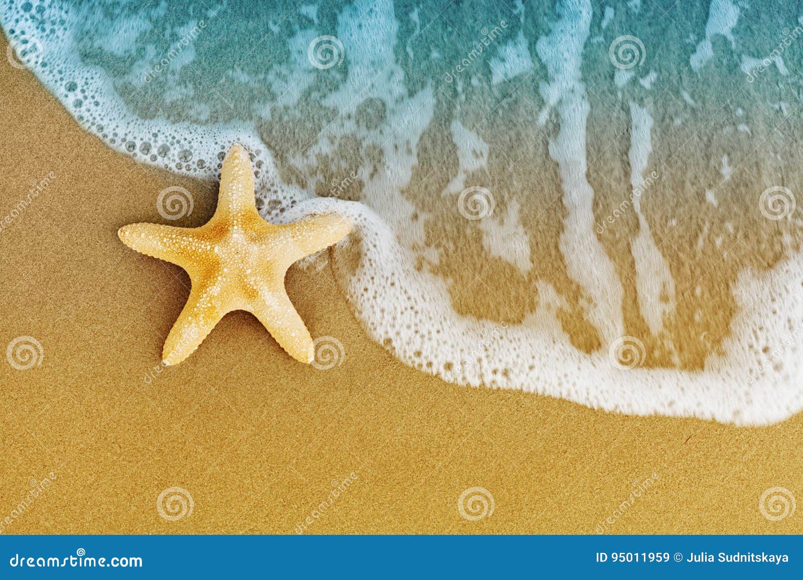 Sea Star or Starfish on Sandy Shore after the Tide. Stock Image - Image ...