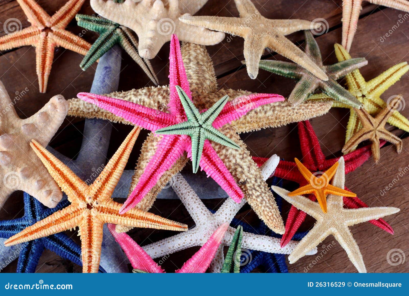 Sea Stars stock image. Image of shell, ocean, tropical - 26316529