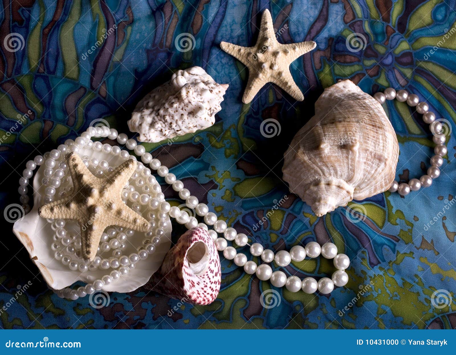 Sea still-life stock photo. Image of pearls, fine, spiral - 10431000