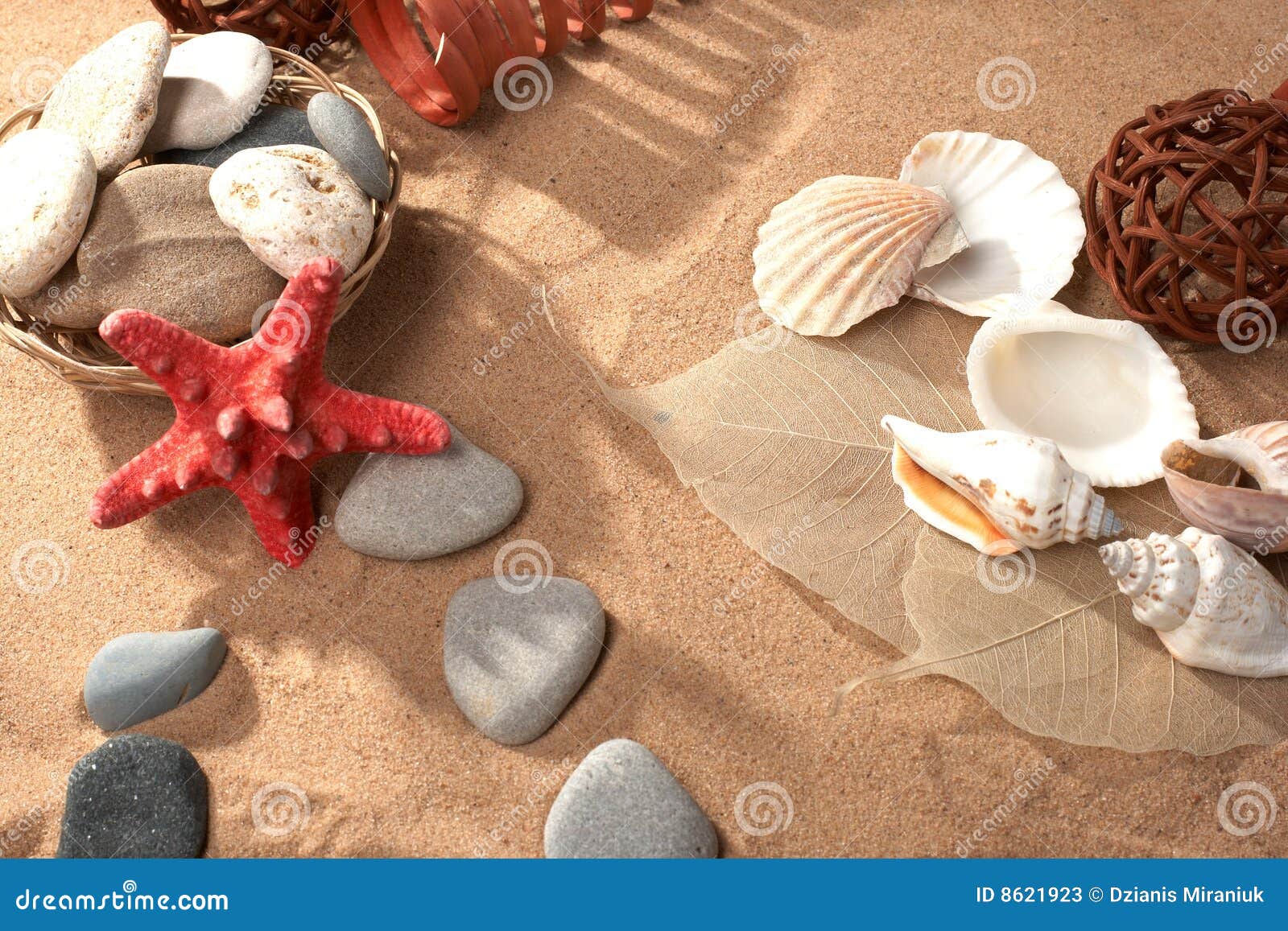 Sea still-life stock image. Image of design, starfish - 8621923