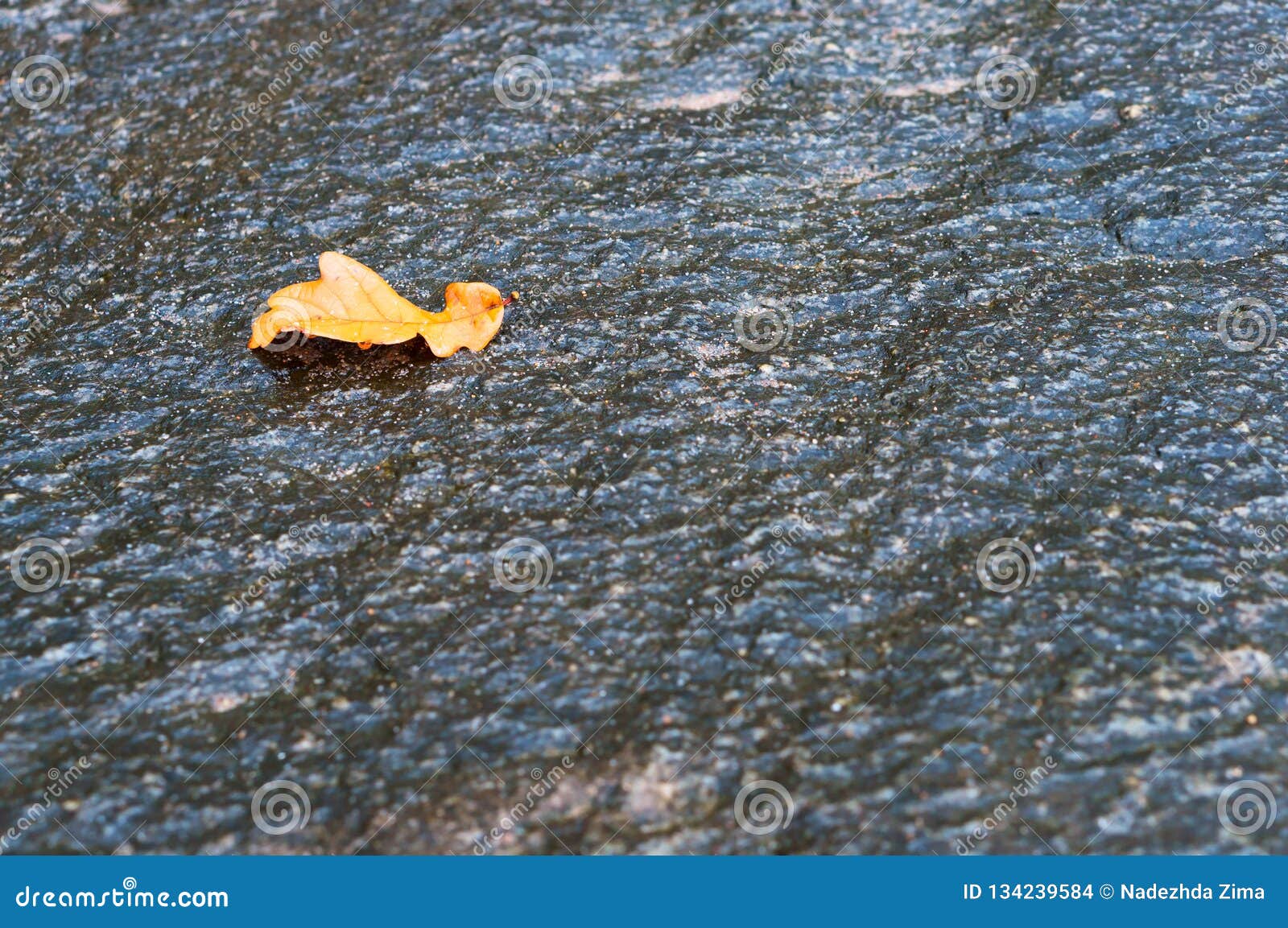 Sea Stone Background, Natural Stone Texture Stock Photo - Image of ...