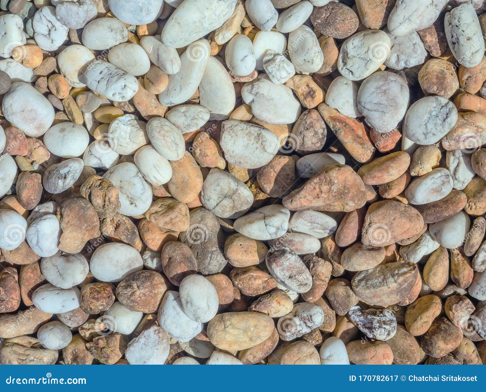 Sea Stone on the Beach for Background Stock Image - Image of beach ...