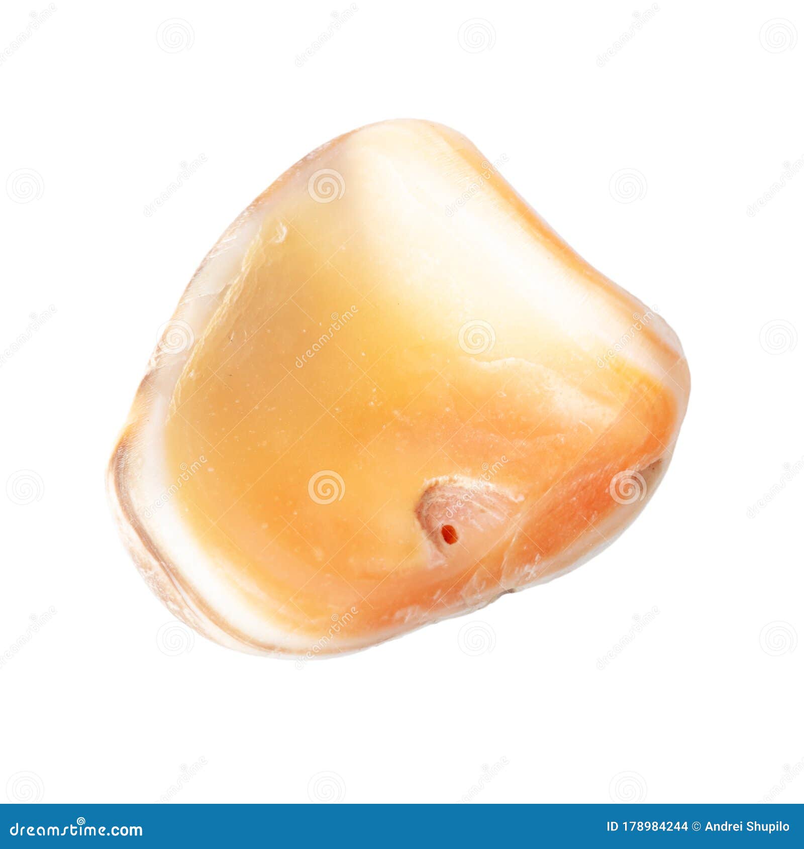 Sea stone from a shell stock photo. Image of pattern - 178984244