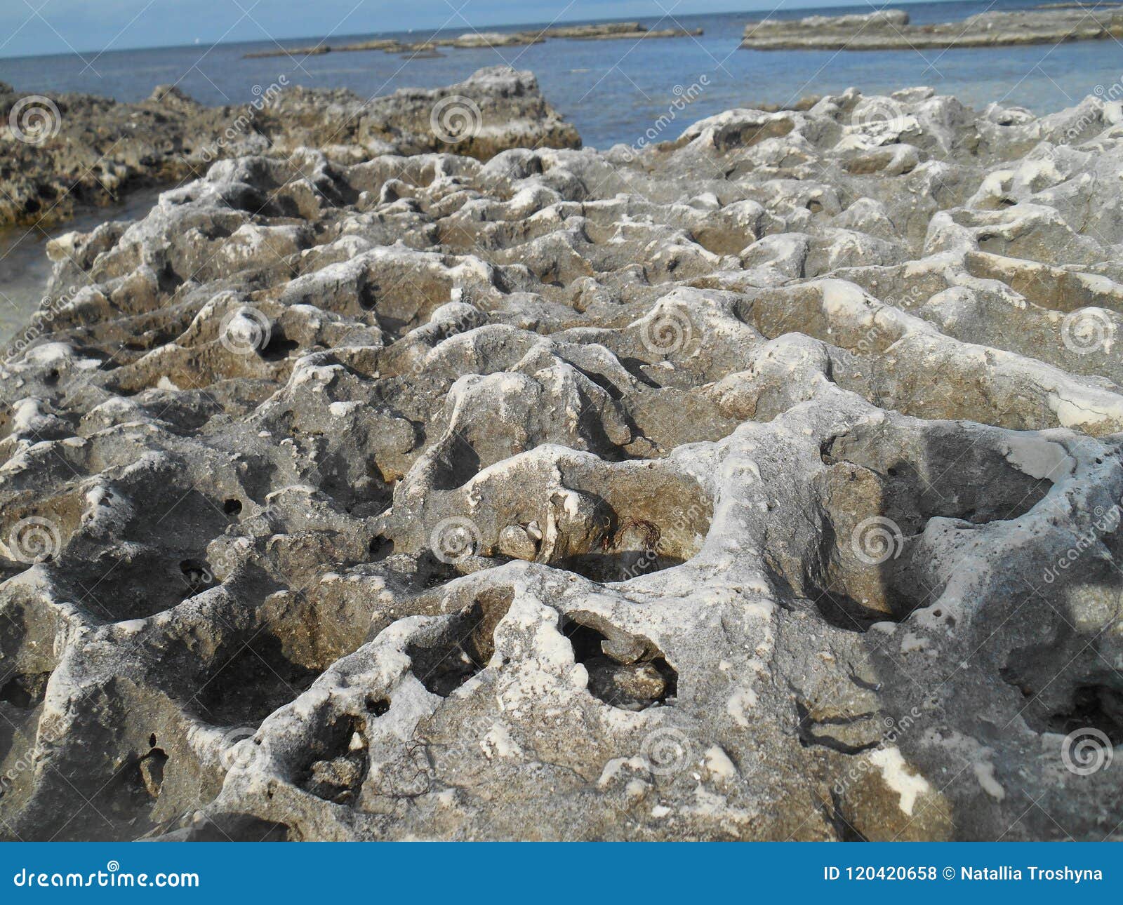 Sea and Stone Shore Texture Stock Photo - Image of vacation, texture ...