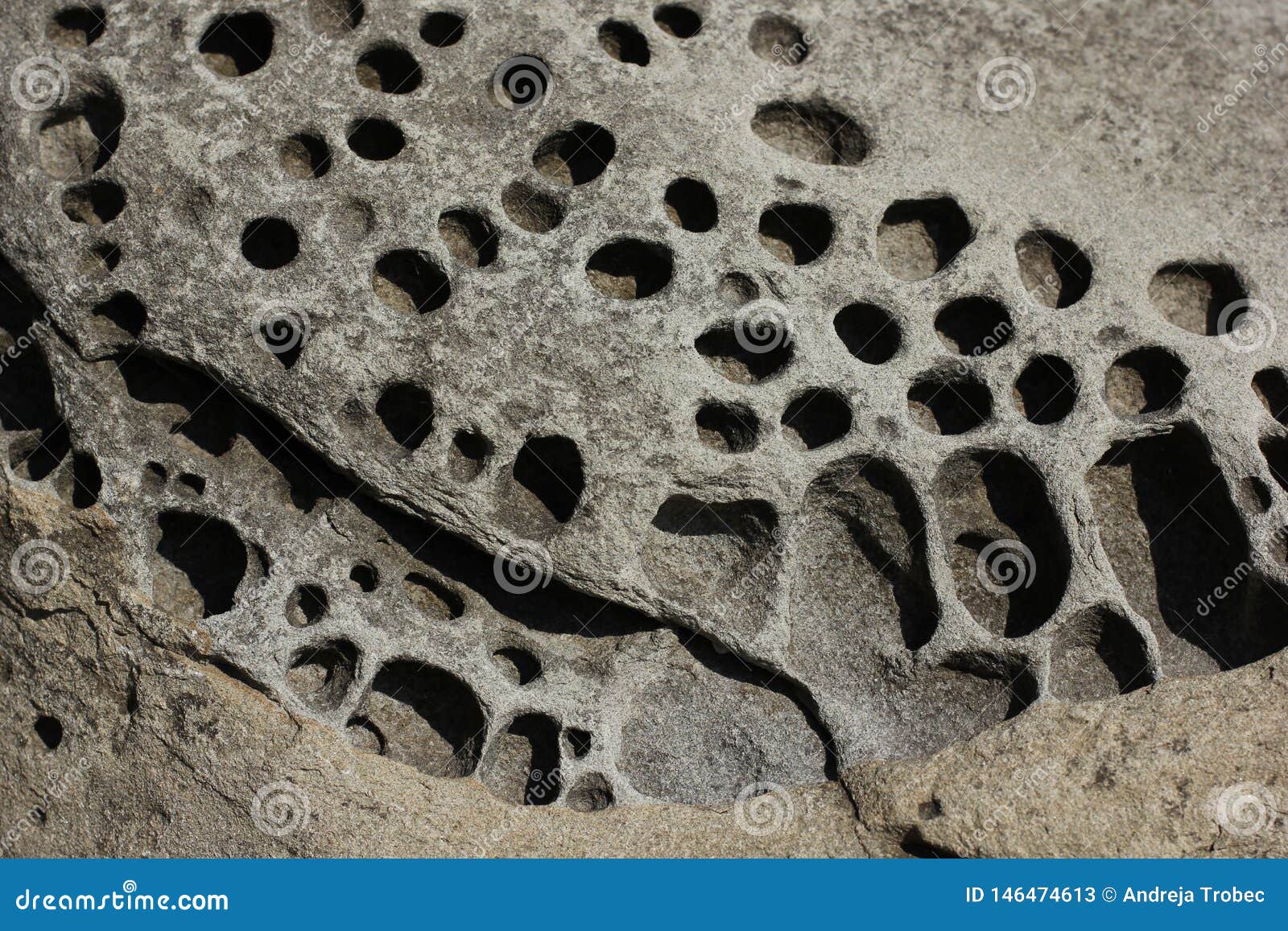 Sea Stone, the Structure of the Perforations Stock Image - Image of ...