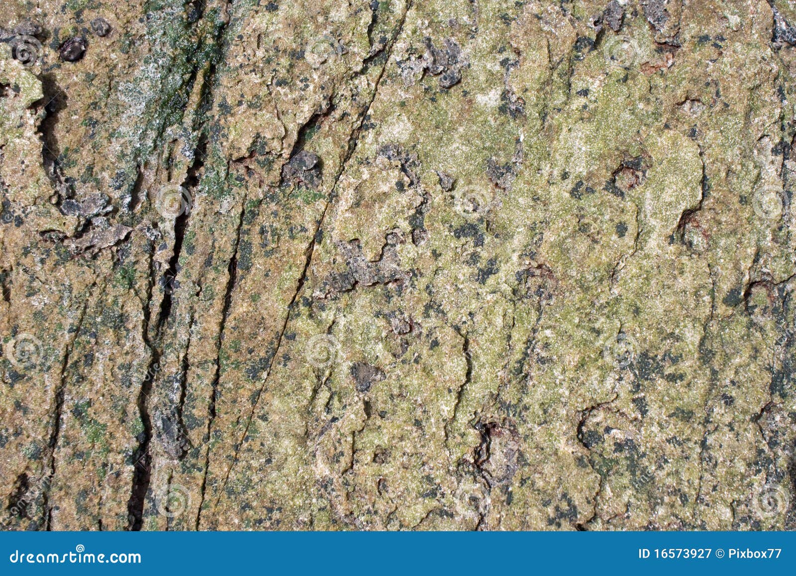 Sea stone texture stock image. Image of ground, vacation - 16573927
