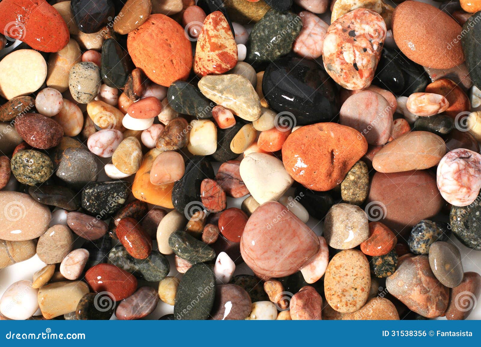 Sea stones. stock photo. Image of ocean, studio, colorful - 31538356