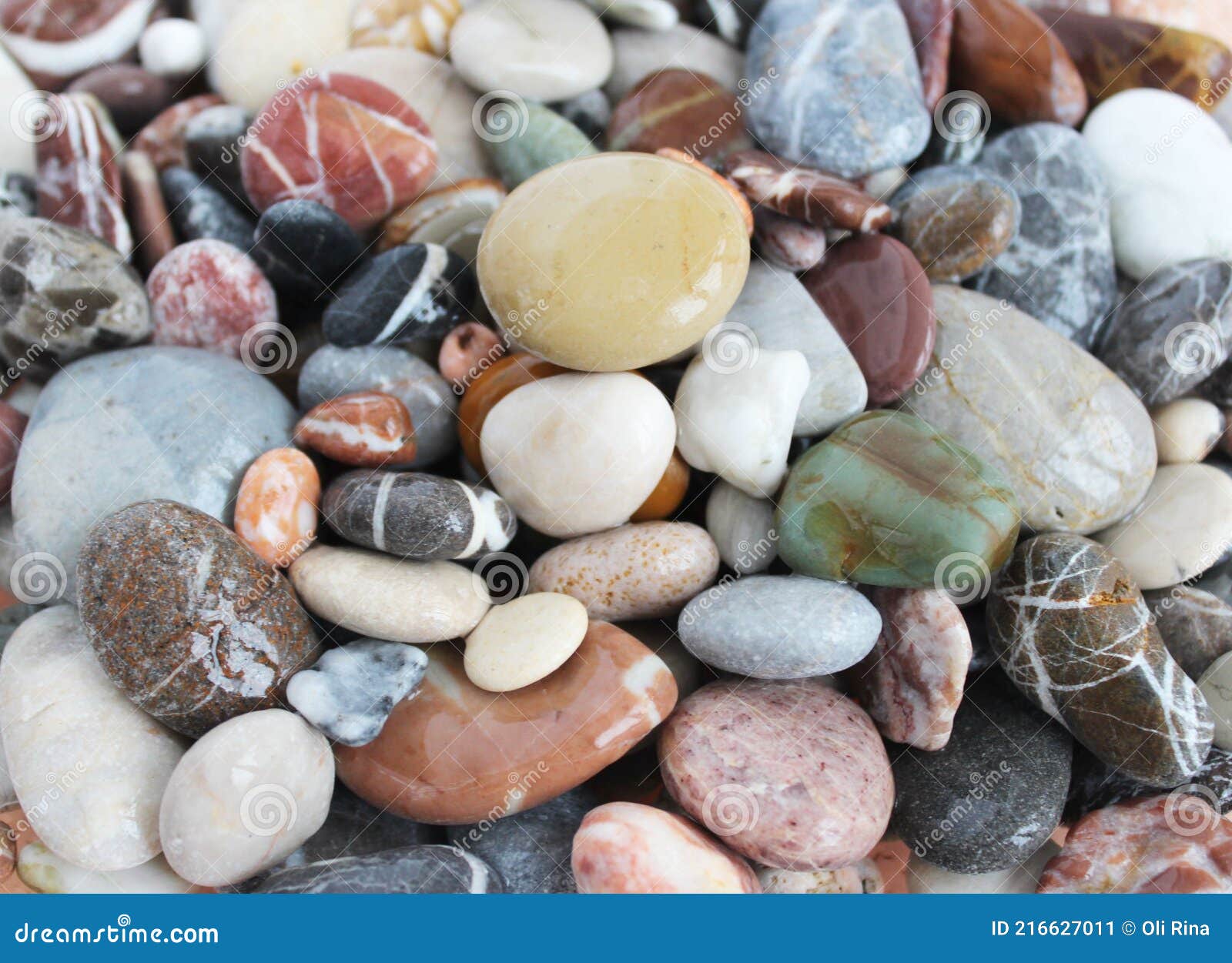 Sea Stones are Gray in Color with a Solid Background. Stock Image ...