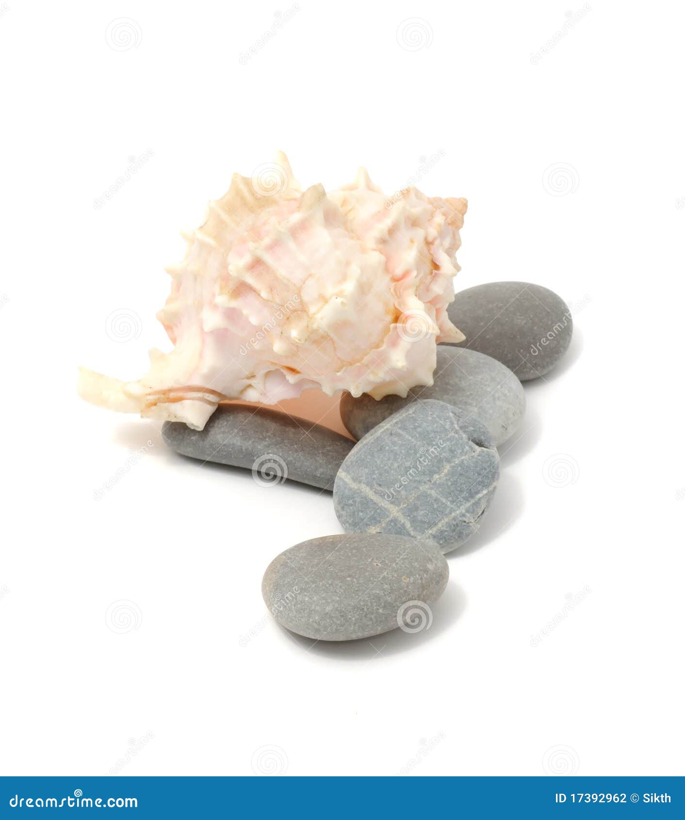 Sea Stones and Shell stock photo. Image of decor, abstract - 17392962