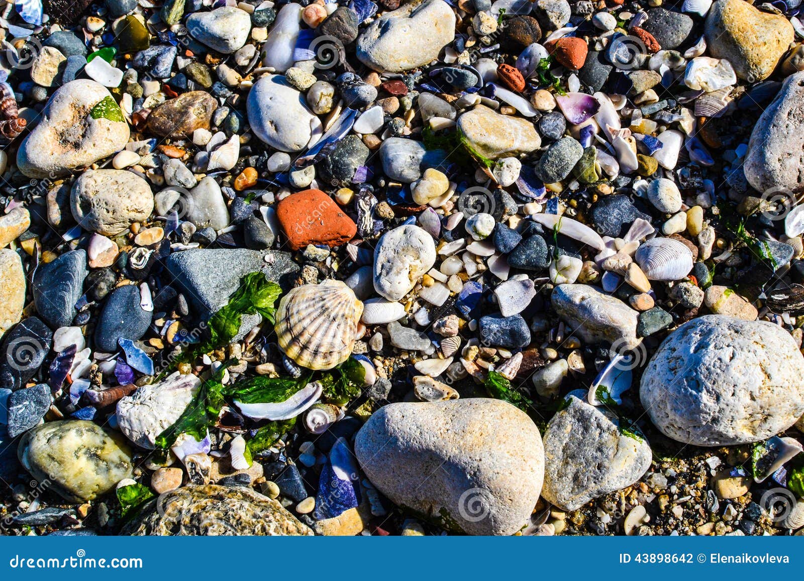 Sea stones and shells stock photo. Image of istanbul - 43898642