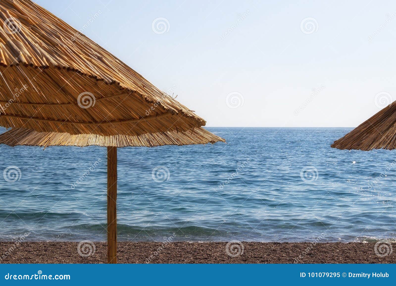 The Sea with Straw Umbrellas from the SunThe Sea with Straw Umbrellas ...