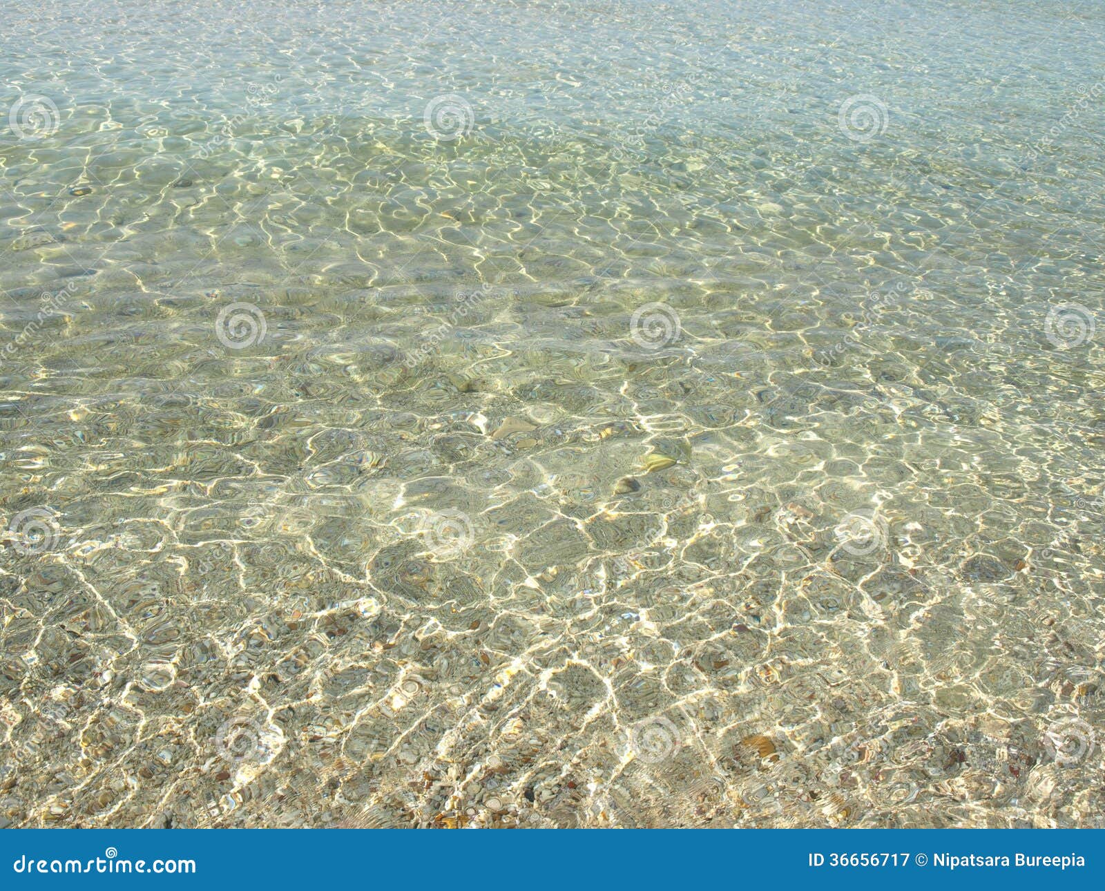 The sea and sun light stock image. Image of autumn, landscape - 36656717