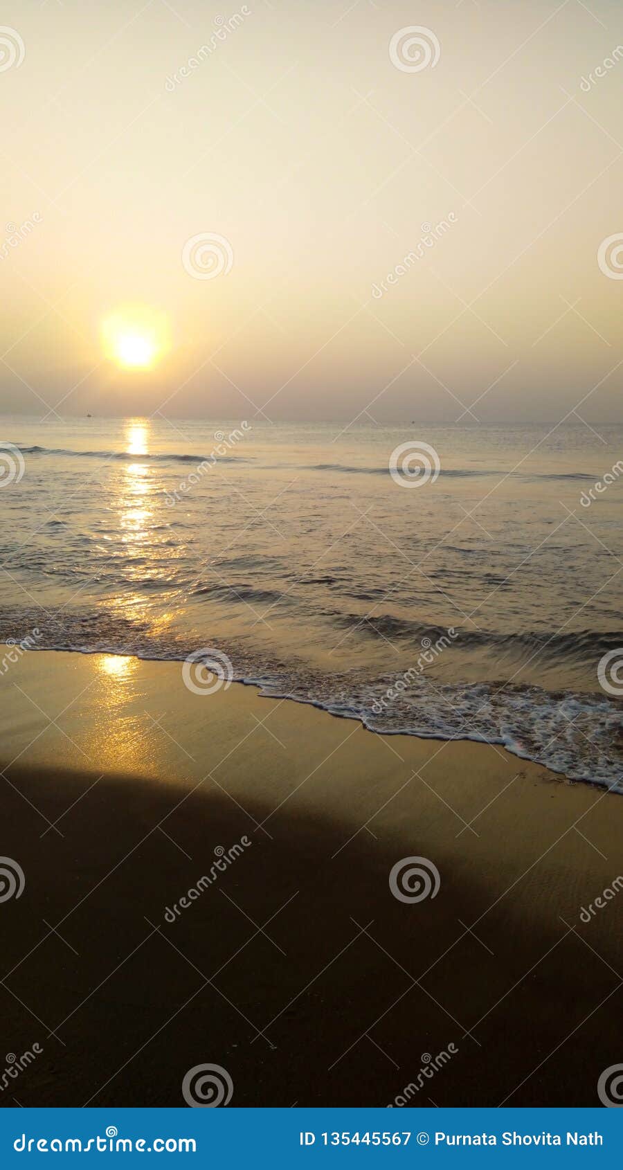 Sea1 stock image. Image of pulm, beach, sea1, rise - 135445567