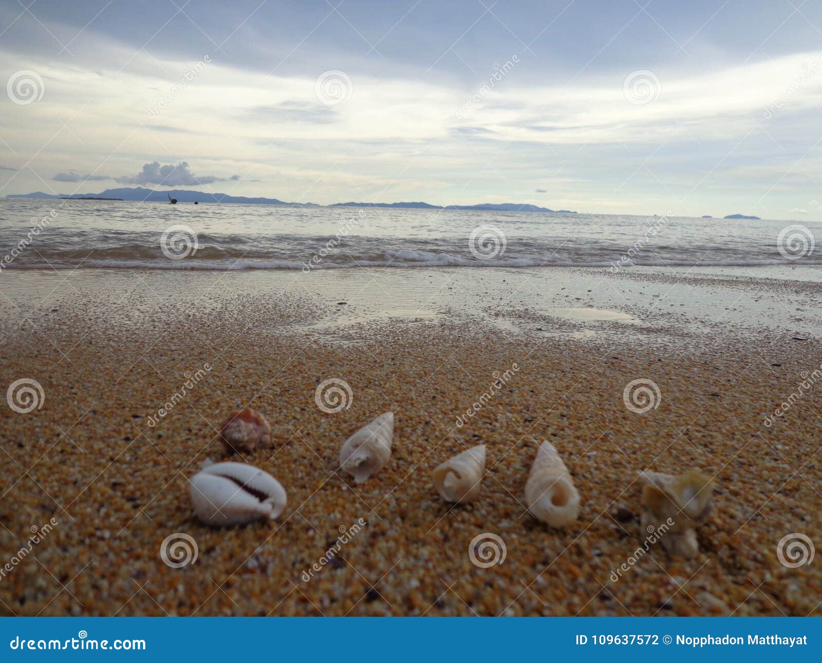 Sea sun sand and shell stock photo. Image of beautiful - 109637572