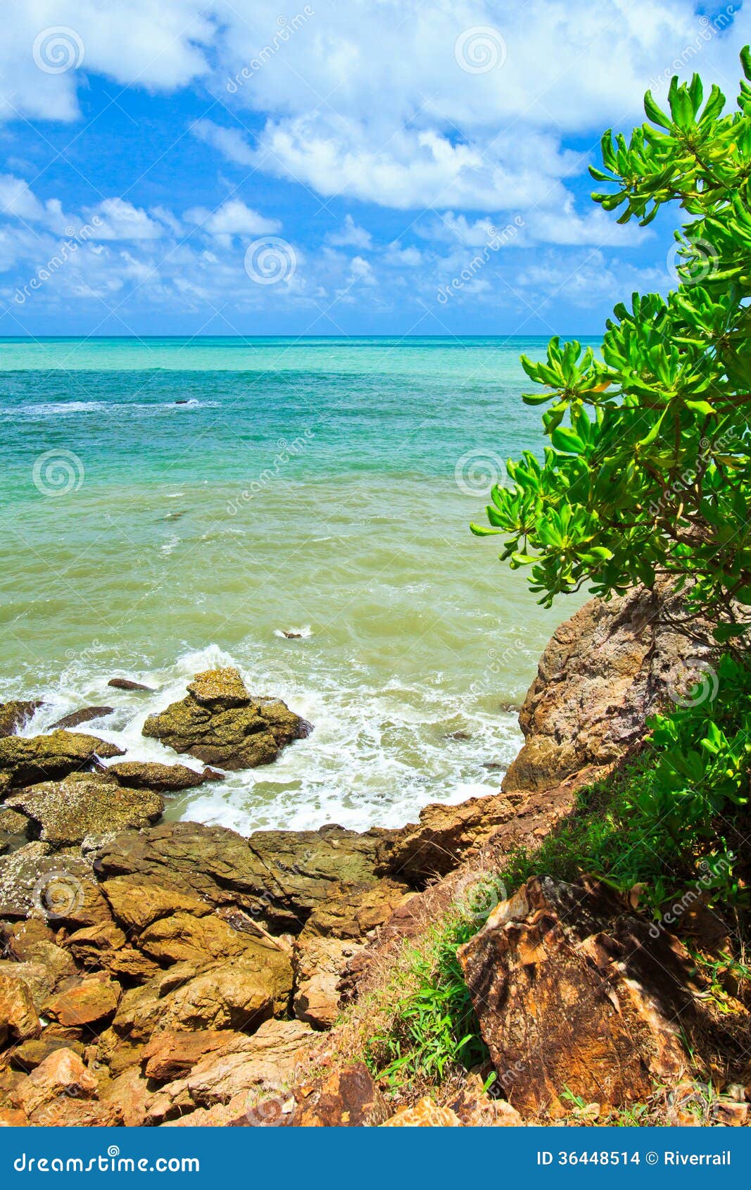 Sea in the sunny day stock photo. Image of park, marine - 36448514