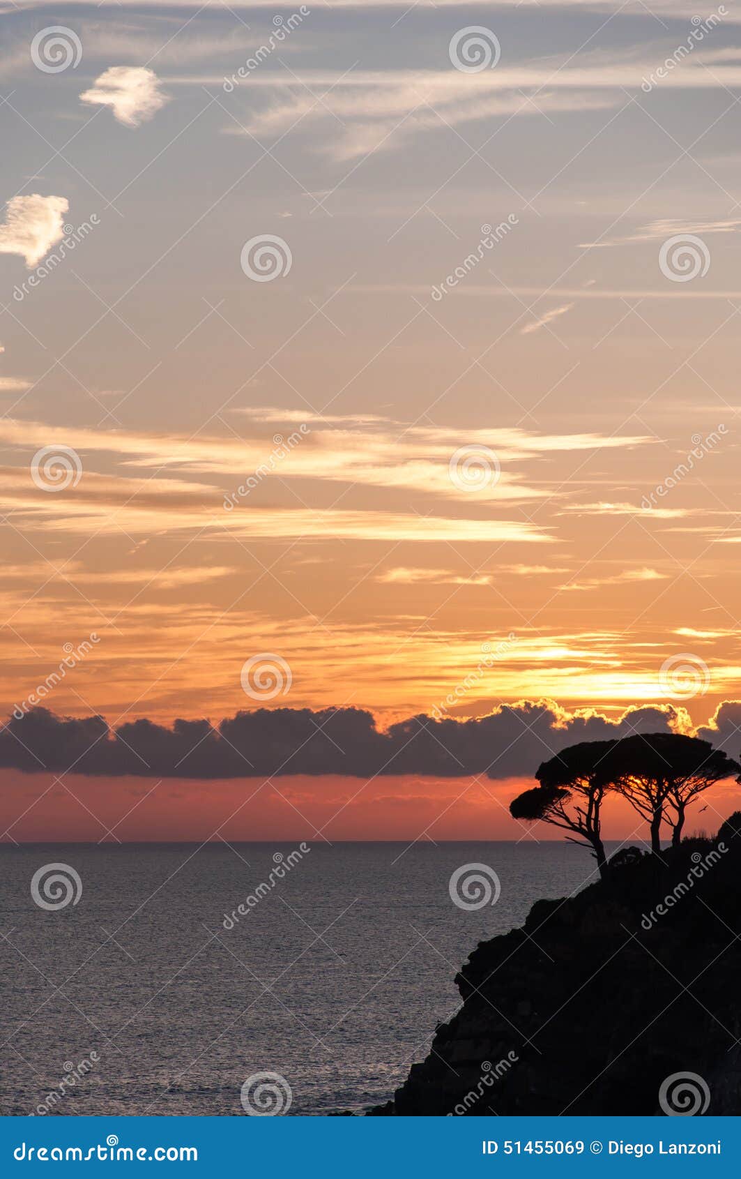 Sea Sunset Trees Foreground Stock Image - Image of nature, dusk: 51455069