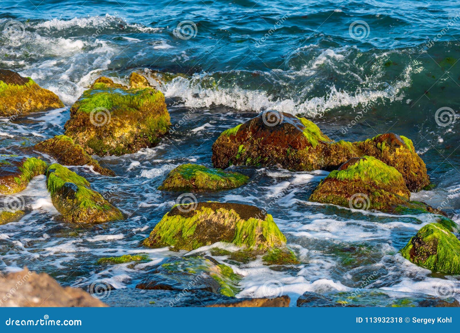 Sea Surf, Waves and Rocks Covered with Algae. Stock Photo - Image of ...