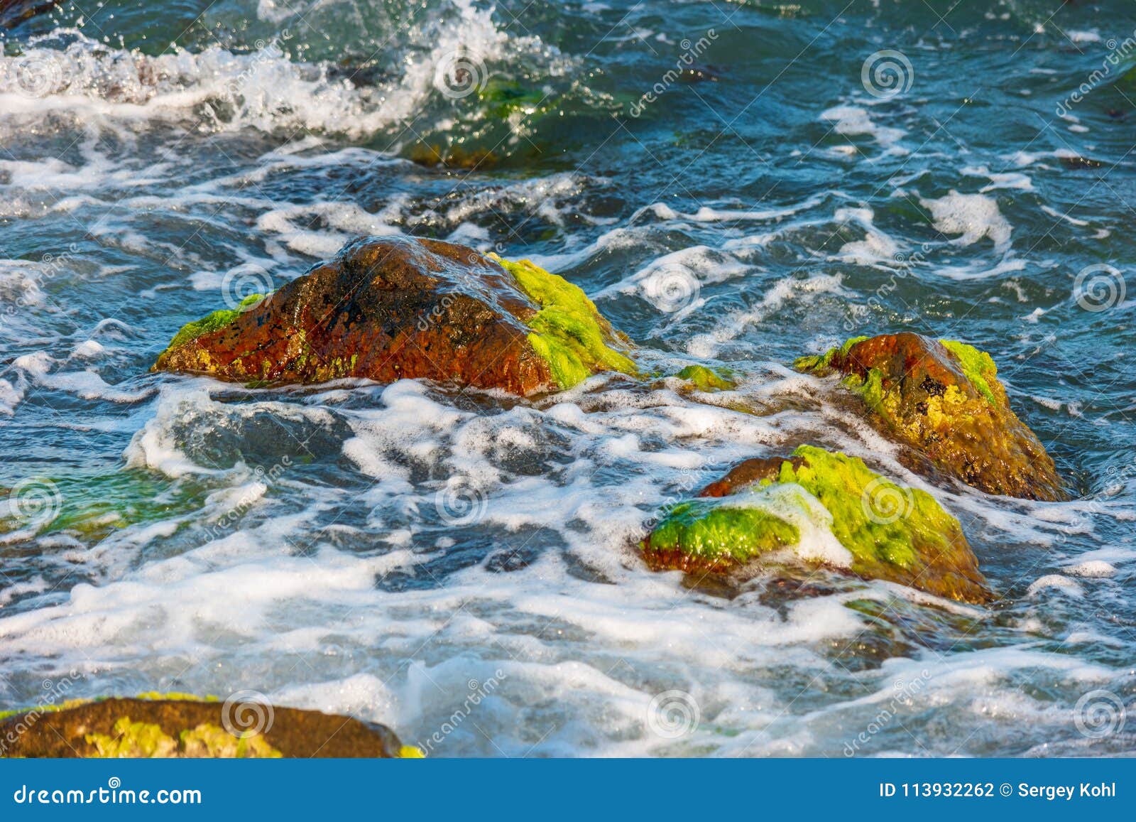 Sea Surf, Waves and Rocks Covered with Algae. Stock Photo - Image of ...